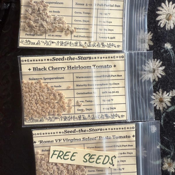 20 'black Cherry' Tomato Seeds, Seed the Stars, Florida Heirloom Tomato ...