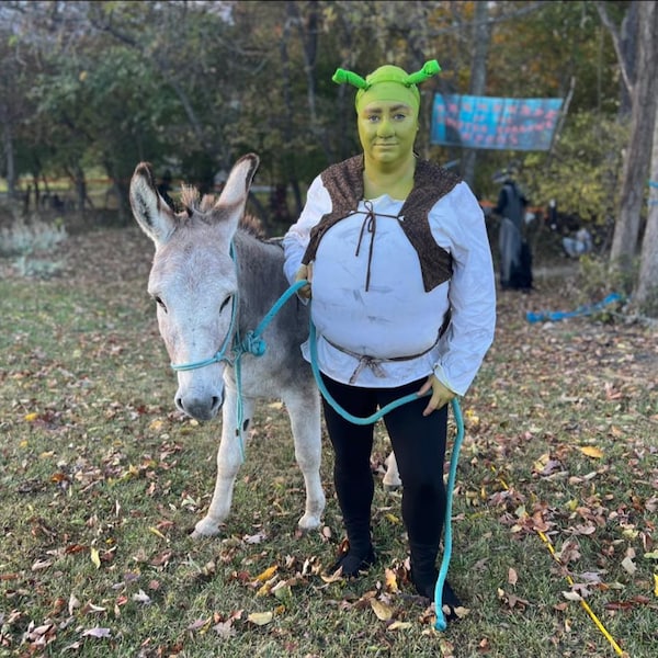 Shrek the Musical - Shrek Nose Foam Latex Prosthetic - Halloween ...