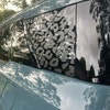 Fits Hyundai Tucson 2022 2023 Window Animal Leopard Cheetah Cow Print ...