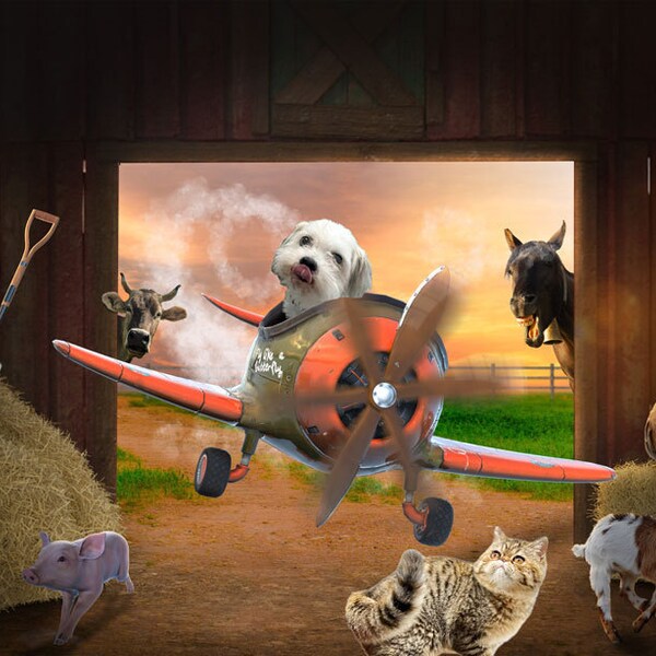 Plane Flying Through Barn Digital Background | Farm Animals Digital ...