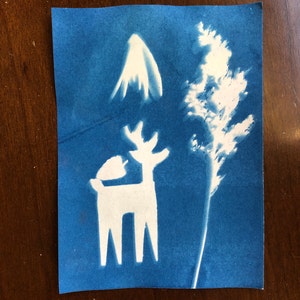 DIY Solar Printing Kit Craft Kit Cyanotype Kit Solar - Etsy