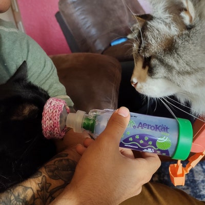 Large Aerokat Feline Asthma Inhaler Knit Cover: Green - Etsy