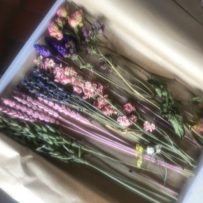 Send a Sentiment the Neutral One Letterbox Flower Post Flowers Happy ...