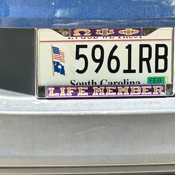 Delta Sigma Theta DST License Plate Red Background Mirror Letters ...