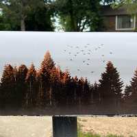 Airplane Window Decal Wing View Sky Clouds Mural Peel and Stick ...