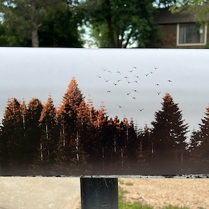 VWAQ Vinyl Nature Window Wall Decal Landscape Scenic Mural Wall Decor ...