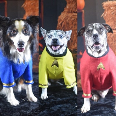 Star Trek Dog Costumes XS to XL - Etsy