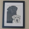 Bijon Art, Bijon Drawing, ORIGINAL Drawing, Bijon Sketch, Dog Art, Dog ...