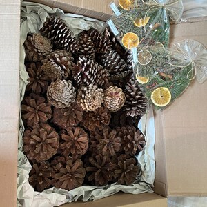 Hand Picked Nature Wild Native Sage Bundle - Etsy