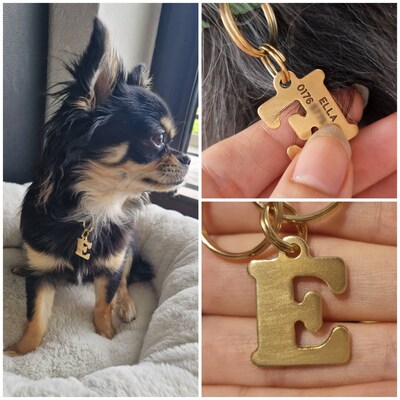 Dog Tag, Alphabet Dog Tag, Brass Dog Tag, Pet ID Tags, Personalized Dog ...