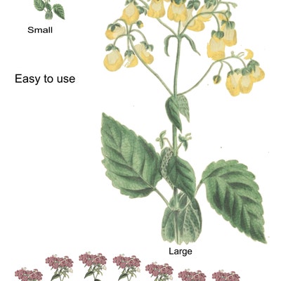 Affinity Serif Affinity KIT A License Plate Kit With 13 Affinity Files ...