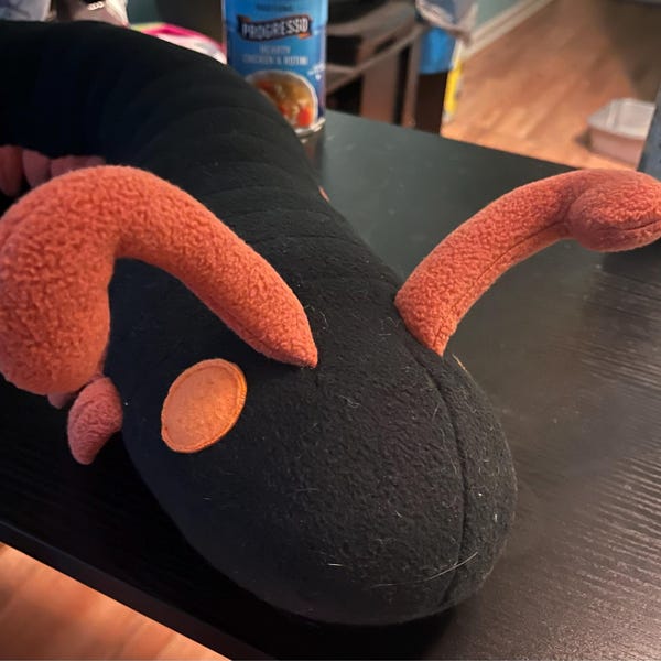 Rainbow Centipede Plush, Centipede Toy, Plush Bug, Plush Insect ...