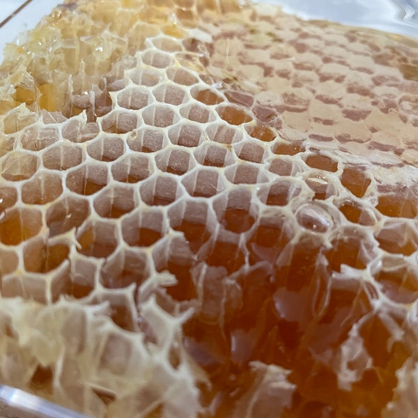 Fresh Cut Honeycomb Squares - Raw, Natural, and Handcrafted From the NY ...