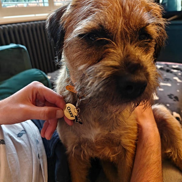 Cherry Pet ID Tag | Cherry Tag for Dogs | Summer Berries Cat ID Tags ...