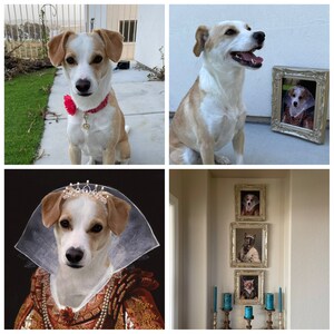 Custom Pet Portrait Renaissance Queen Dog Portrait Pet - Etsy