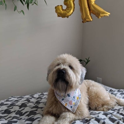 16 GOLD Letter/number Balloons Create Your Balloon Banner Gold Foil ...