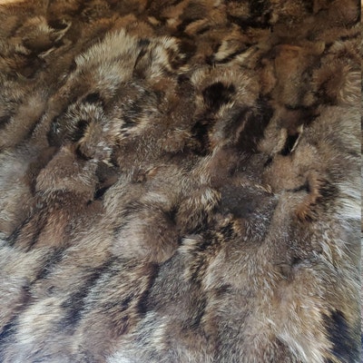 Fox Fur Rug Real Fox Fur Carpet Fox Fur Living Room Decor - Etsy