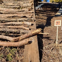 Scale RC Universal Wood Bed Decal Sheet for Element Enduro Sendero ...