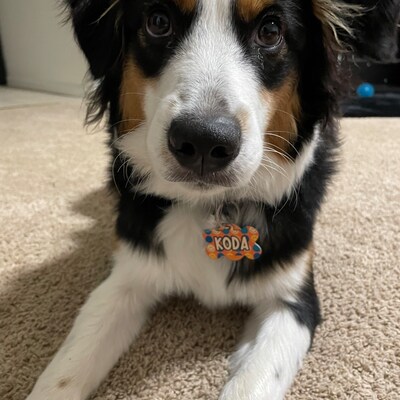 Retro Smiley Dog Tag Retro Dog Tag Pet Tag Custom Dog Tag - Etsy