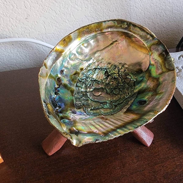 Large Abalone Shell, Colorful Abalone Shell, Natures Painting in a ...