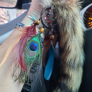 E33a Mud Dauber Wasp Glass Dome Display Entomology Taxidermy - Etsy