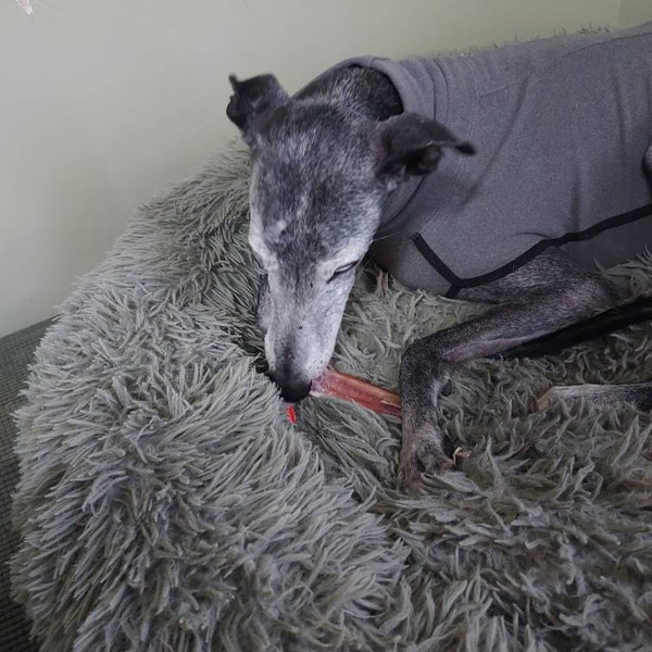 Stuffed Beef Gullet Sticks Dog Chews! Try Them! - Etsy