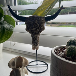 Brown Feather and Shell Wall Hanging Juju Hat Feather Wall - Etsy