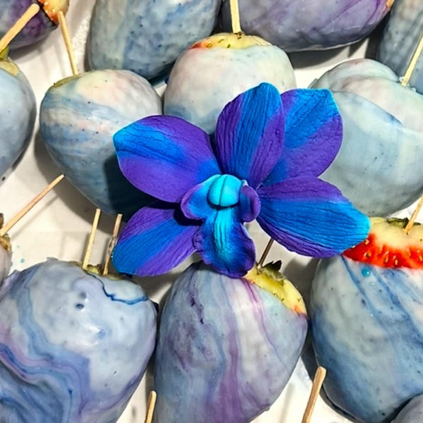 Gumpaste Cake Decorations WHITE Gum Paste Blossoms 24 Piece - Etsy