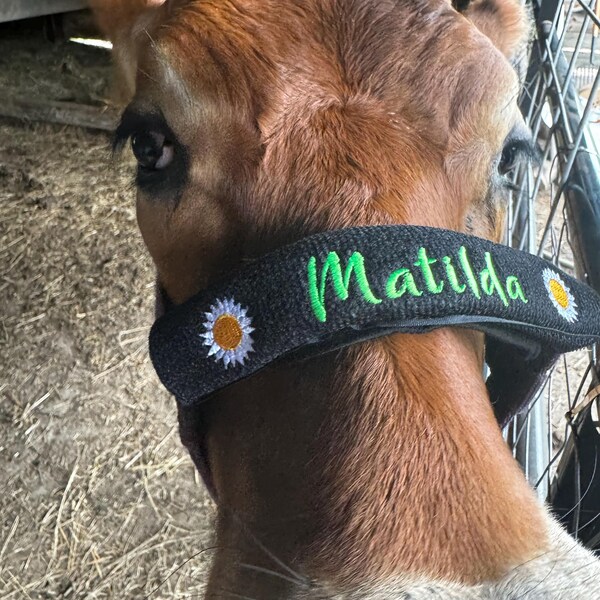 Custom Cattle Embroidered Sweatshirt, Custom Farm Logo Hoodie ...