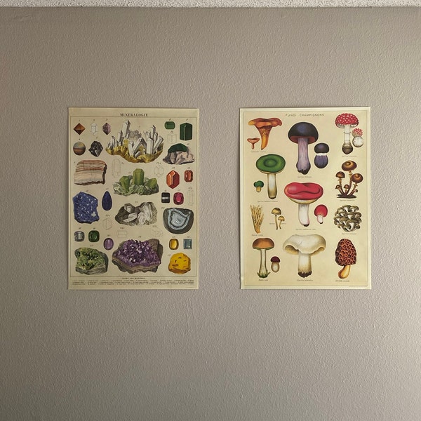 Mineralogy Poster | Minerals Wall Art | Crystals Print | Rock Poster ...