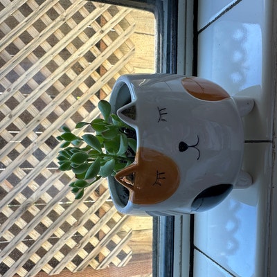 Large Abstract Face Pot Planter Vase for Succulents or Plants - Etsy