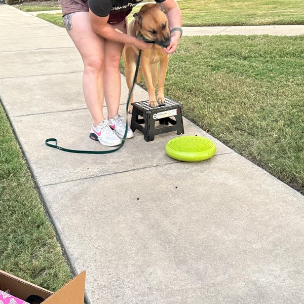 1/2 Drag Line, 1 to 50 Feet, Biothane Outdoor Waterproof Dog Long Line ...