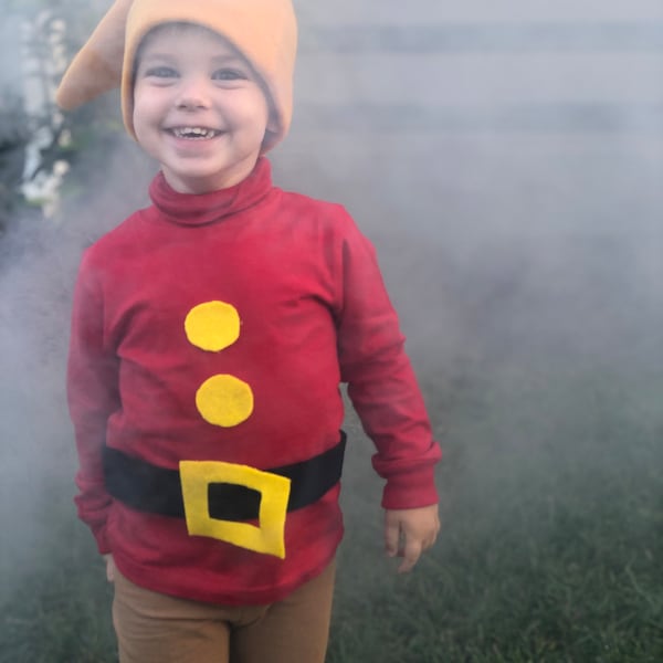 One Stocking Cap - Elf- Dwarf Hat Your Choice for Dwarves Dress up ...