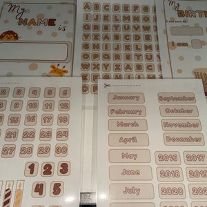 Interactive Preposition Activity, Prepositions Flashcards, Hands on ...