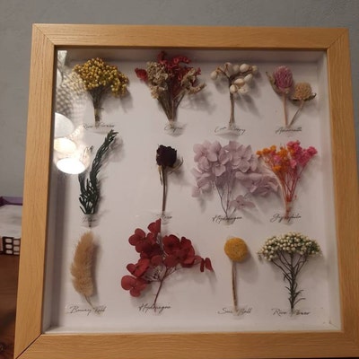 Dried Flower Pressed Flower Frame, Pressed Flower Floating Frame ...