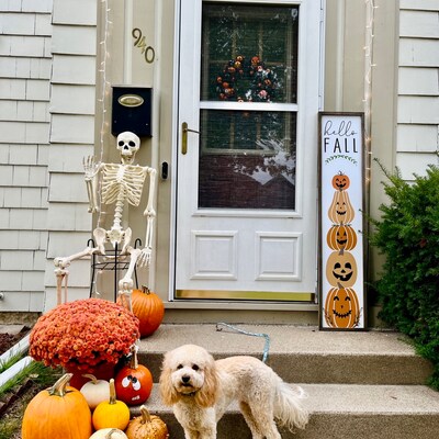 Hello Fall Pumpkin Sign Halloween Fall Thanksgiving Wood - Etsy