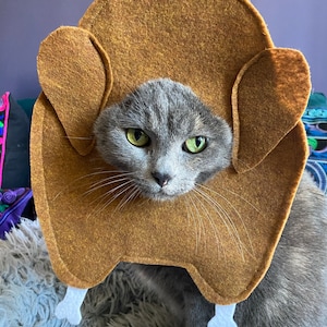 Cheeseburger Pet Hat Costume for Cats Small Dogs in Soft - Etsy