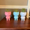 Sitting Kodama Planter Pot for Succulents, Air Plants + Other Plants ...