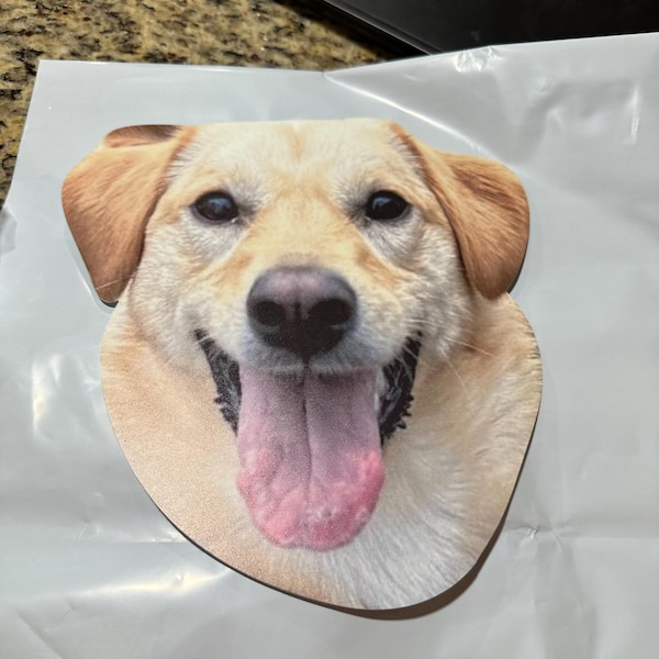 Custom Pet Head on a Stick: Personalized Photo Booth Wedding Prop - Etsy