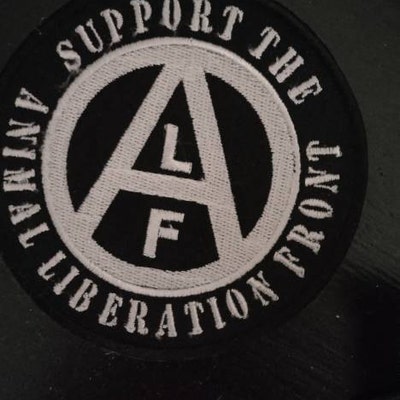 CONFUSE Back Patch 2 Design - Etsy