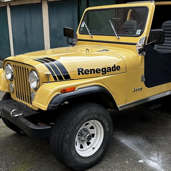 Cj8 Decals & Stripes Vinyl Graphics Kit (1983-1984) - Etsy