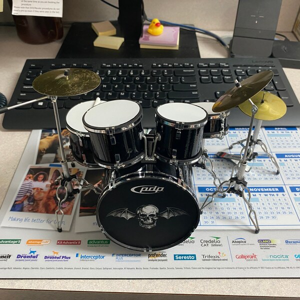 Miniature Drum Kit Rock Star Signature Musical Instruments Display Mini ...