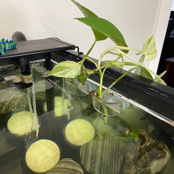 Aquarium Plant Holder (stacked Stones) - Etsy