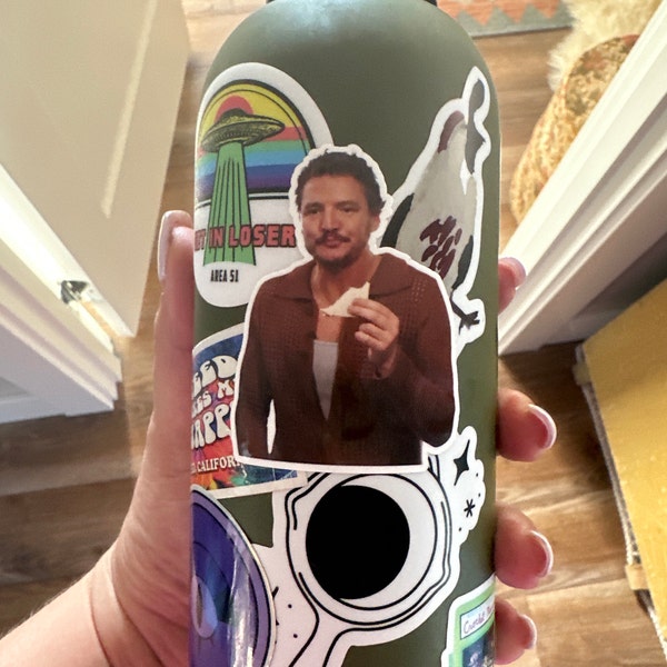Pedro Pascal Sticker Bundle | Pedro Meme Sticker | Stickers for Water ...