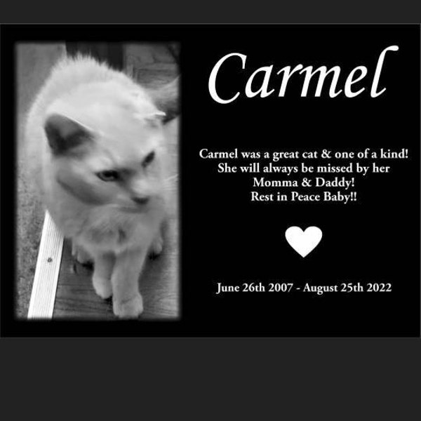 12x12 Personalized Pet Headstone, Goat, Cow, Horse, Pig Farm Tombstone ...