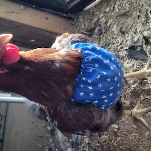 Chicken Bra, Crop Support, Pendulous Crop Support, Crop Bra, Hen Bra ...