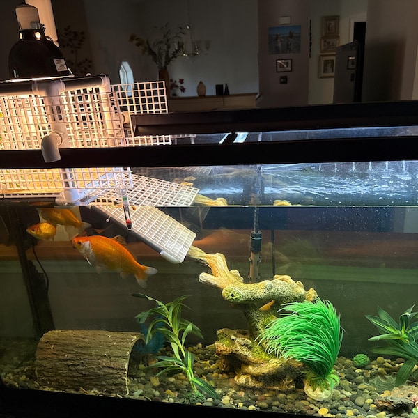 Hanging Tank Topper! Escape Proof, Sturdy, Metal Top. Fits Any Tank ...