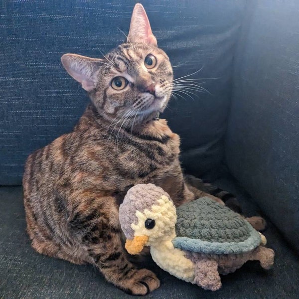 Duck Turtle Hybrid Animal PDF Crochet Pattern - Etsy
