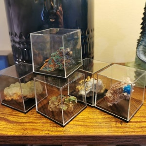 Large Ant Tower Double Decker Style - Etsy