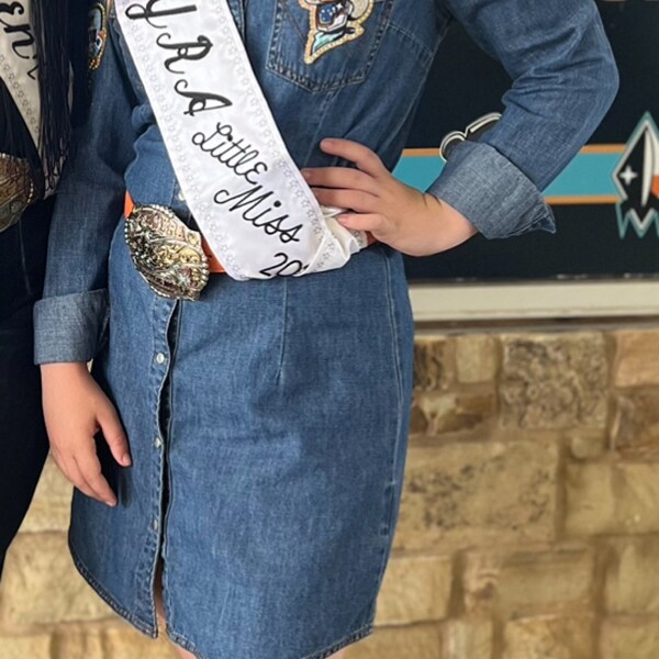 World Series Champions Trophy Patch | Houston Astros | Baseball ...